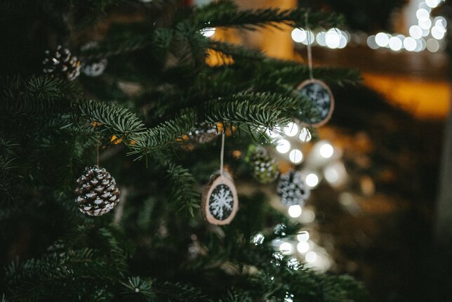 Vánoce, Vánoce přicházejí! - SONNENTOR.com